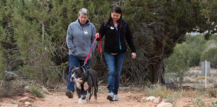 Animal Volunteer Opportunities | Best Friends Animal Society